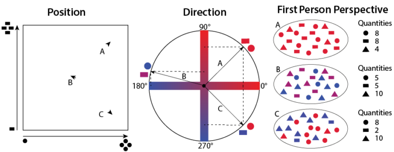 An immersive first-person navigation task for abstract knowledge ...